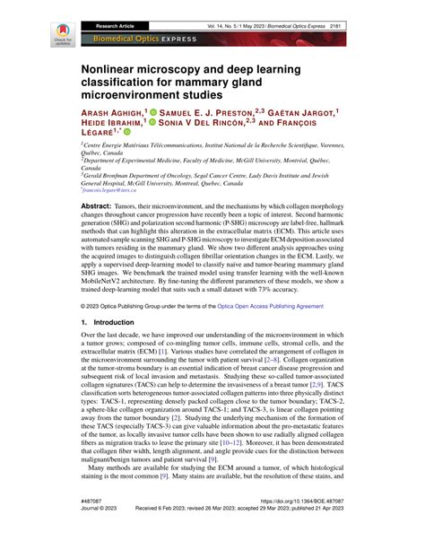 Pdf Nonlinear Microscopy And Deep Learning Classification For Mammary