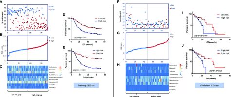 Distribution Of Risk Stratification Based On The Ips Model And The Download Scientific