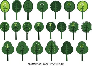 Set Trees Together Forest Stock Vector Royalty Free 1991952887 Shutterstock