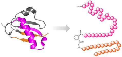 Frontiers Synthetic Peptides As Protein Mimics
