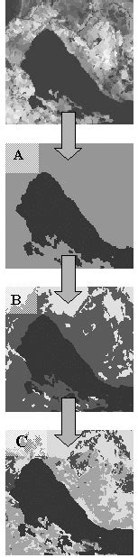 Samples Of The Different Classification Stages Download Scientific Diagram