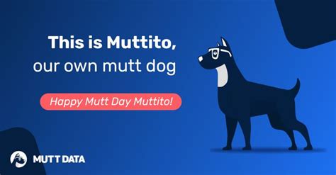 Alex Castellano On Linkedin Machinelearning Dataengineer