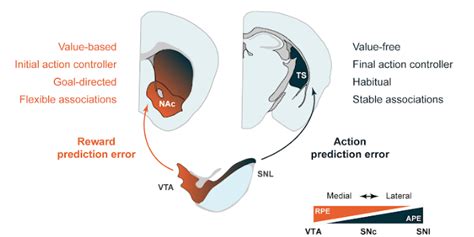 Learning Circuits Lab Publications