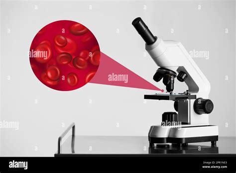 Sample Under Microscope At Claire Fahey Blog Sample Under Microscope At Claire Fahey Blog