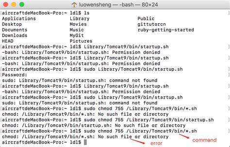 java when sudo chmod 755 library tomcat9 bin sh occurred an error