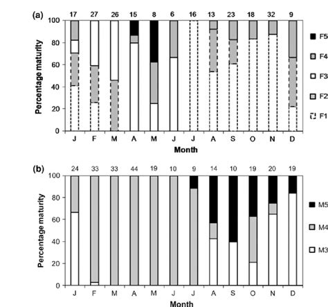 Monthly Sexual Maturation Stages Of Pennahia Anea Based On Gonad