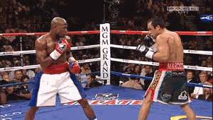 Five Stars And Their Multi Punch Boxing Combinations ~ Boxing Combinations