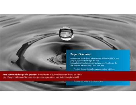 Project Reporting Professional Management Deck Ppt Slide Deck