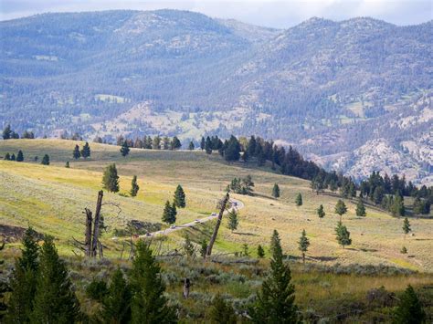Yellowstone Upper Loop Best Stops For Views Wildlife And Hiking — Road Trip Locals