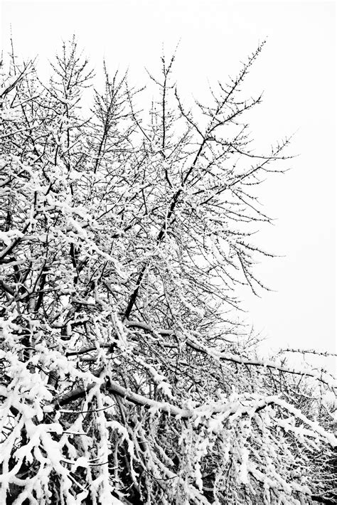 Blizzard Background Photos Download The Best Free Blizzard Background