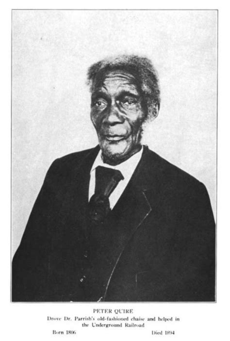 Peter Quire Wikipedia