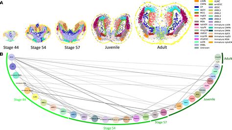 Dest Ot Alignment Of Spatiotemporal Transcriptomics Data Cell Systems