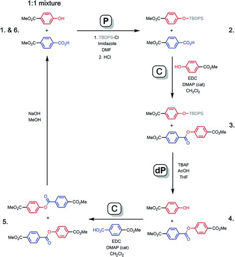 Formation Of An Ester Between A Phenol Red And Benzoic Acid Blue