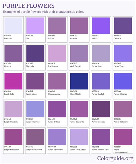 Purple Color Names Chart