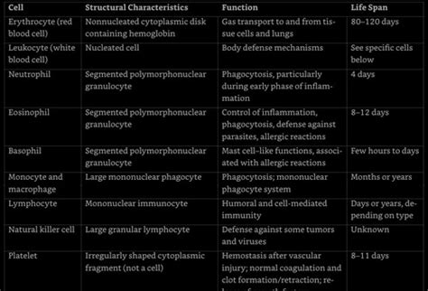 Patho Ch 28 Structure And Function Of The Hematologic System Flashcards Quizlet