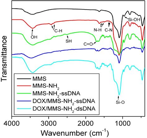 Figure 1 From Dna Capped Fe3o4sio2 Magnetic Mesoporous Silica