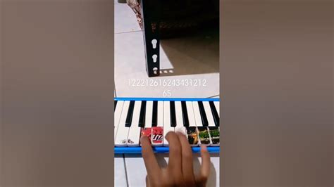 Not Pianika Toothlees Dancing Youtube