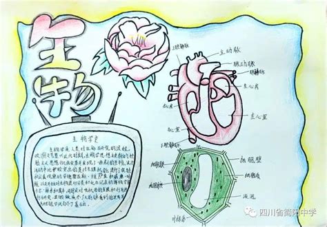 八年级上册生物手抄报 千图网