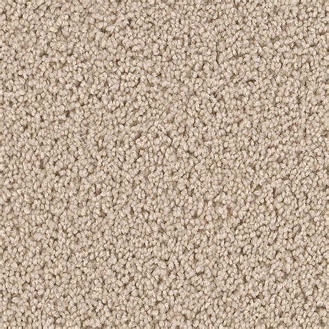 Eggshell Rudys Flooring And Remodeling