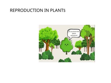Reproduction In Plants Ppt Class 7pptx Reproduction In Plants Ppt Class 7pptx