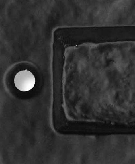 Seaside Shutter Hardware Traditional Brass Shutter Hardware Coastal