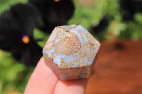 Palm Root Fossil Mini Point Stone Palm Root Crystal Stone Etsy