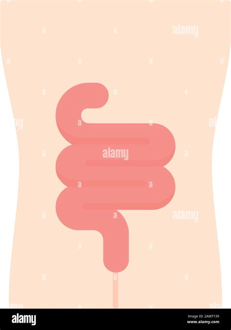 Healthy Intestine Flat Design Long Shadow Color Icon Human Organ In