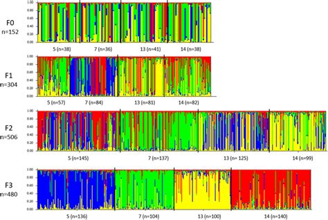 Structure Analysis For F0f3 Individuals Of All Enclosures As Four