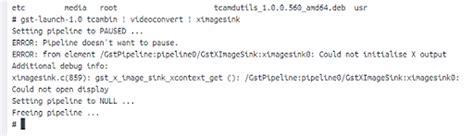 Camera Getting Disconnected After Run Gstreamer Pipeline Code Issue TheImagingSource