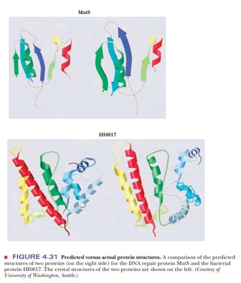 Protein Folding Dynamics