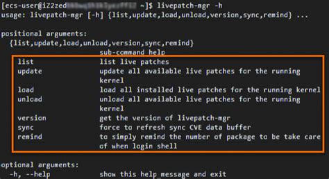 use livepatch mgr to manage kernel hotfixes alibaba cloud linux