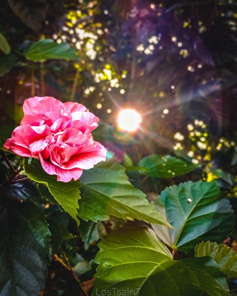 The Quote Circle Added A New Photo The Quote Circle