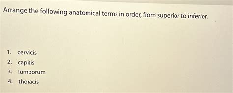 Solved Arrange the following anatomical terms in order, from | Chegg.com