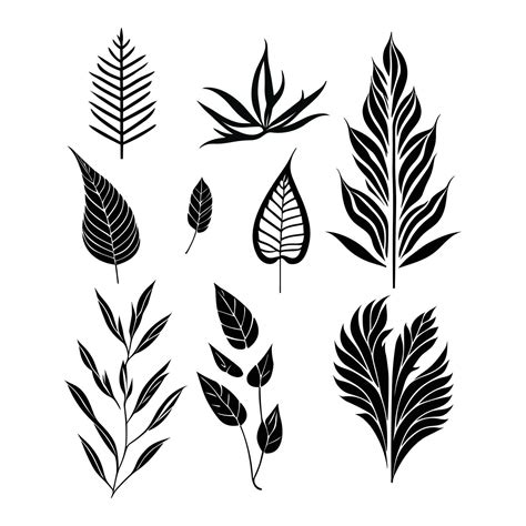 Leaves Vector Design 27875858 Vector Art At Vecteezy