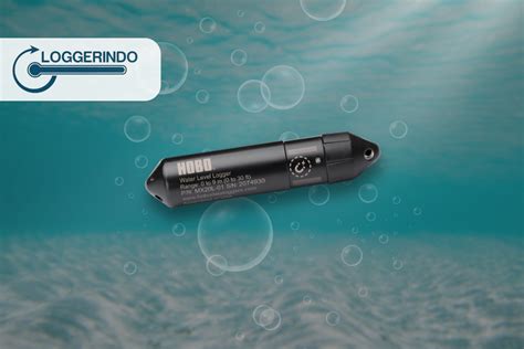 Manfaat Hobo Mx Water Level Logger Untuk Industri Dan Lingkungan