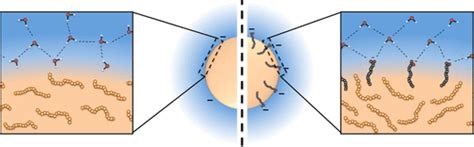 How Low Can You Go Molecular Details Of Low Charge Nanoemulsion Surfaces The Journal Of