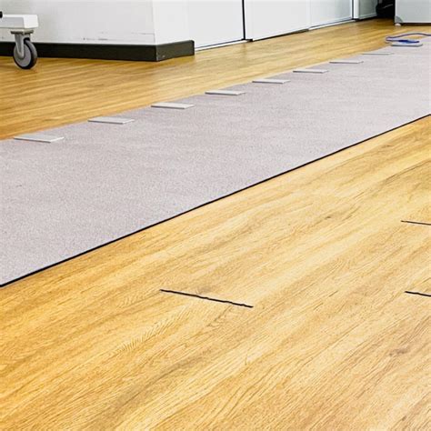 Gaitrite Pro Biometrics France