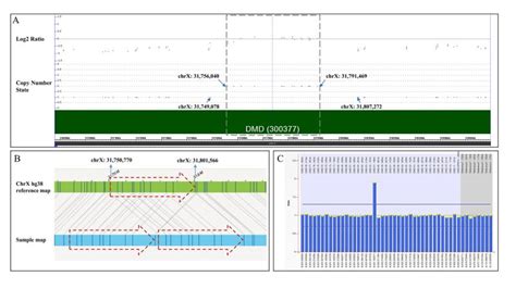 Optical Genome Mapping Vs Chromosomal Microarray Christopher Robinson Posted On The Topic