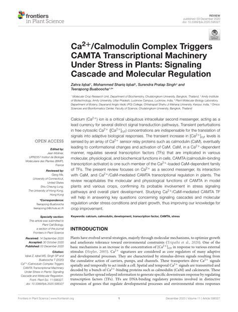 Pdf Ca 2 Calmodulin Complex Triggers Camta Transcriptional