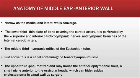 Anatomy Of Mid Ear And Related Structures Pptx