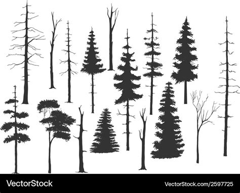 Set Of The Pine Tree Royalty Free Vector Image