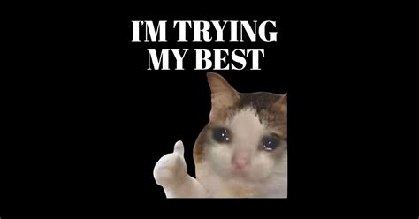 Im Trying My Best Funny Crying Cat Meme Im Trying My Best Funny
