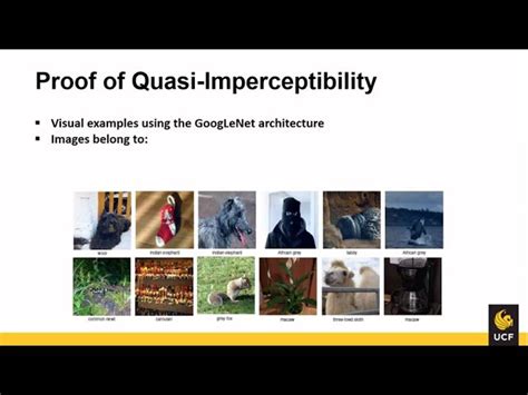 Free Video Universal Adversarial Perturbations In Machine Learning