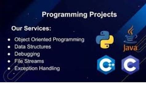 Do Javacpppython Programming And Dsa And Oop Codes By Muhammadaftab8 Fiverr