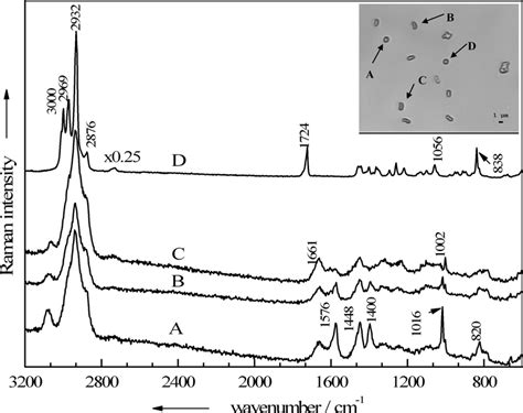 Single Particle Raman Spectra Of Four Particles Present In A B