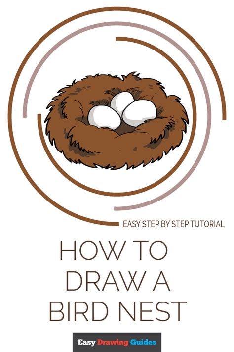 How To Draw A Bird Nest Step By Step Easy Decker Lamothe