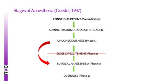 Induction Of Anaesthesia Flashcards Quizlet