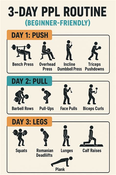 Ppl Workout Routine Best 3 5 And 6 Day Splits For Muscle Growth