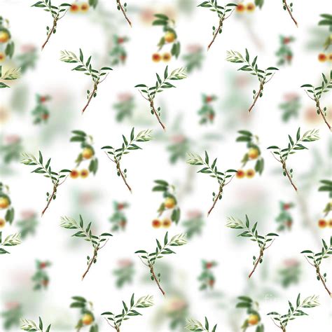 Vintage Jujube Floral Garden Pattern On White N1932 Mixed Media By