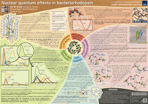 Pdf Nuclear Quantum Effects In Bacteriorhodopsin